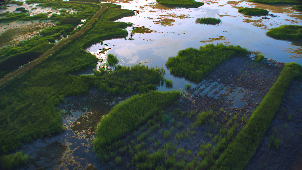 First-of-its-Kind Watershed Study Highlights How Innovative Tools Help ...