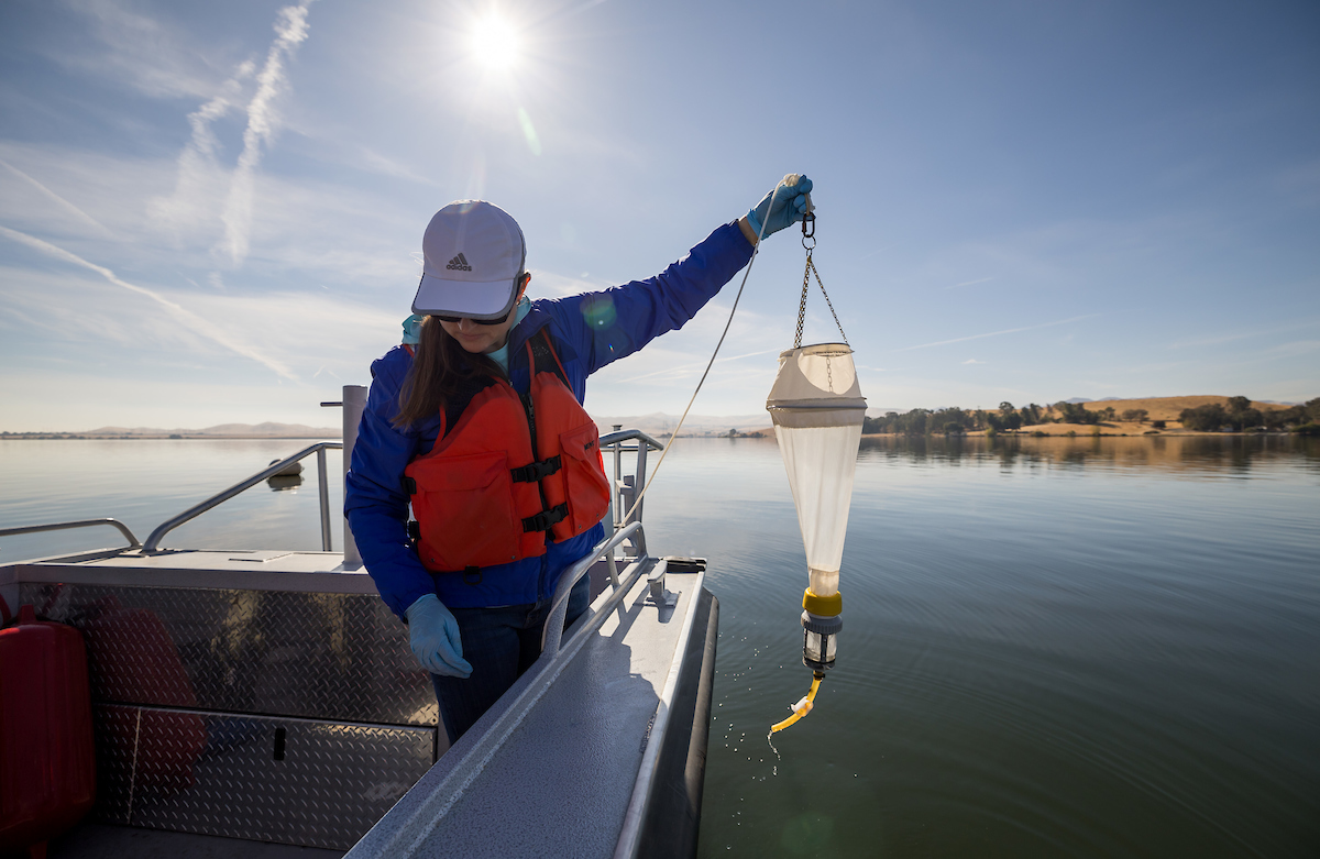 Invasive Mussel Mitigation