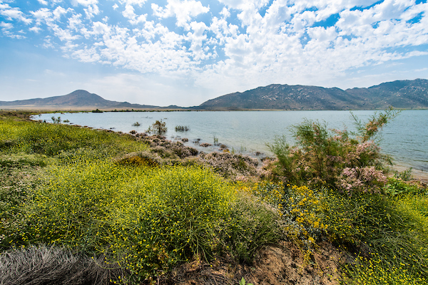 Lake Perris Algal Bloom Advisory Reduces to Caution: Moreno Beach ...