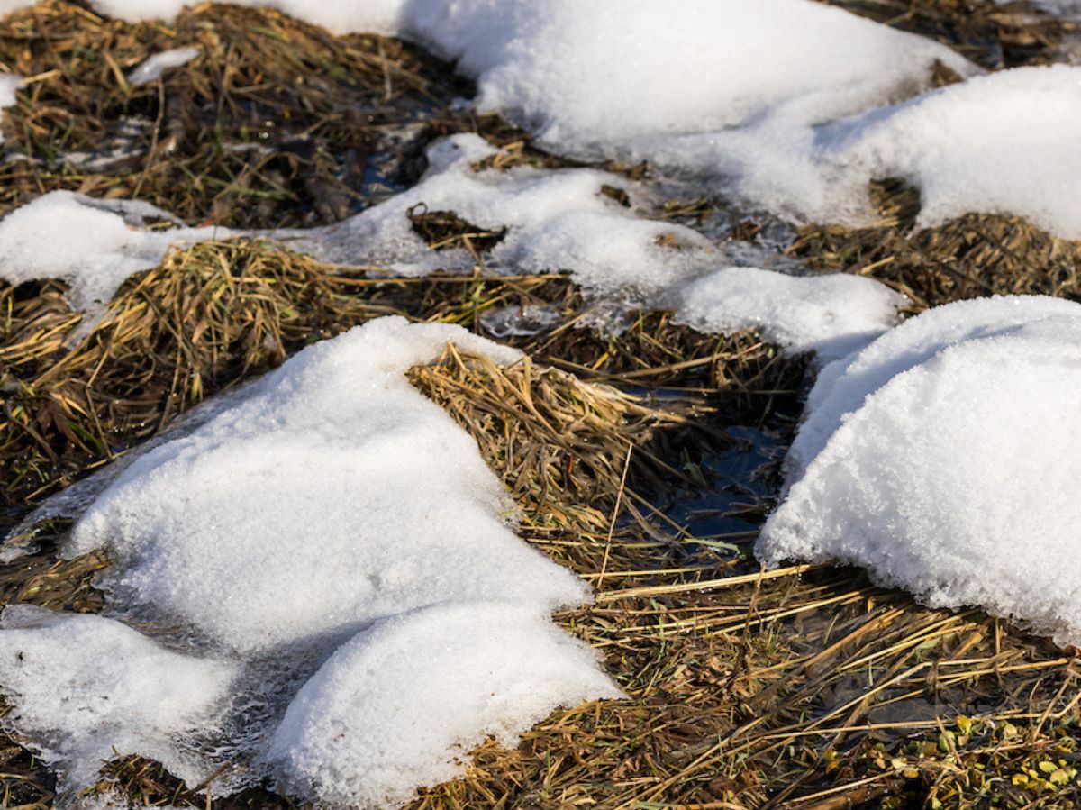 DWR Continues to Improve Forecasting as Spring Heats up in California