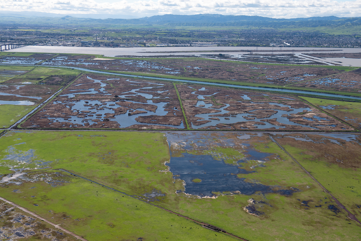 State Water Project Operations: New Framework Already Benefitting ...