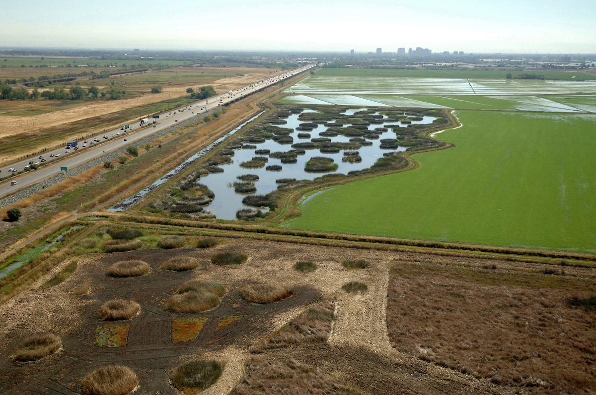 Implementing Projects in the Yolo Bypass